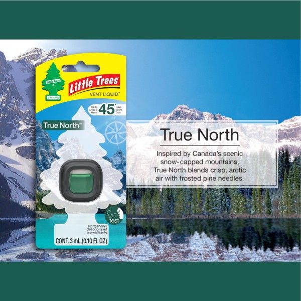 Little Trees Vent Liquid Car Air Freshener True North